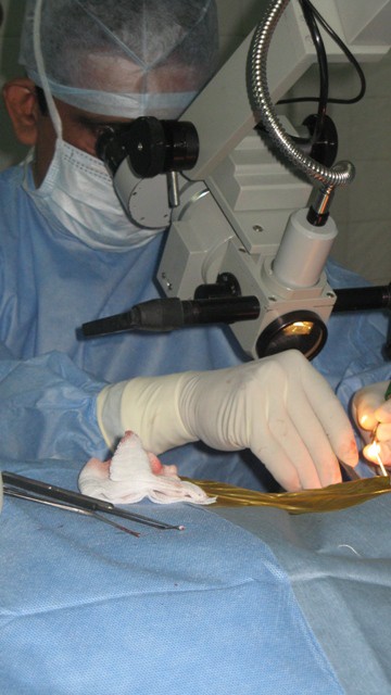 Ear Surgery in Trivandrum, Kerala,India | Dr Paulose